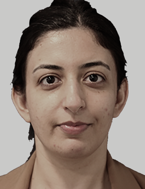 Gallery | Dr. Amir Sadri